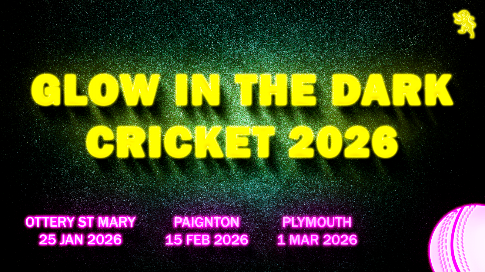 Glow In The Dark Cricket 2026 - Devon Cricket